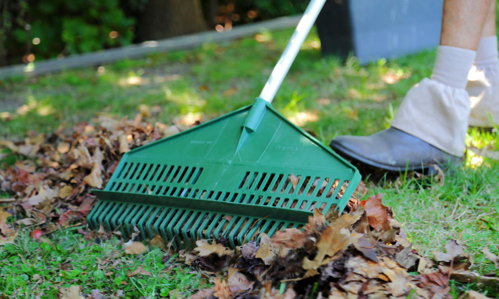 Winterfy your garden in time for Spring - Get Building